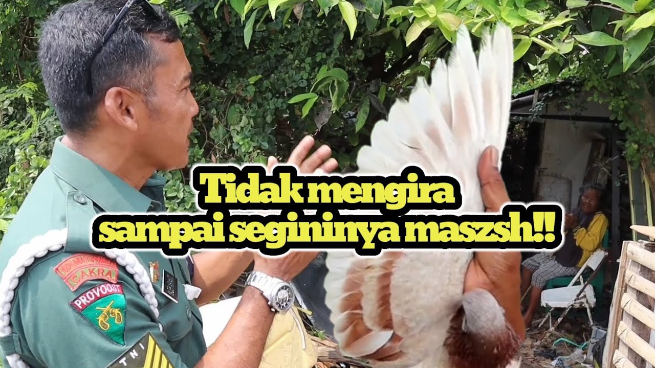 Viral!! Provost TNI sambangi pemilik merpati di pinggir rel sepur - YouTube