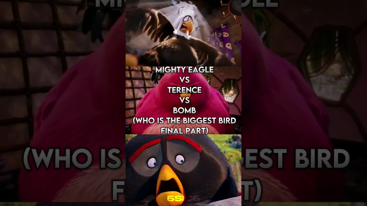 Mighty Eagle vs Terence vs Bomb (Who's The Biggest Bird??? Final Part ...