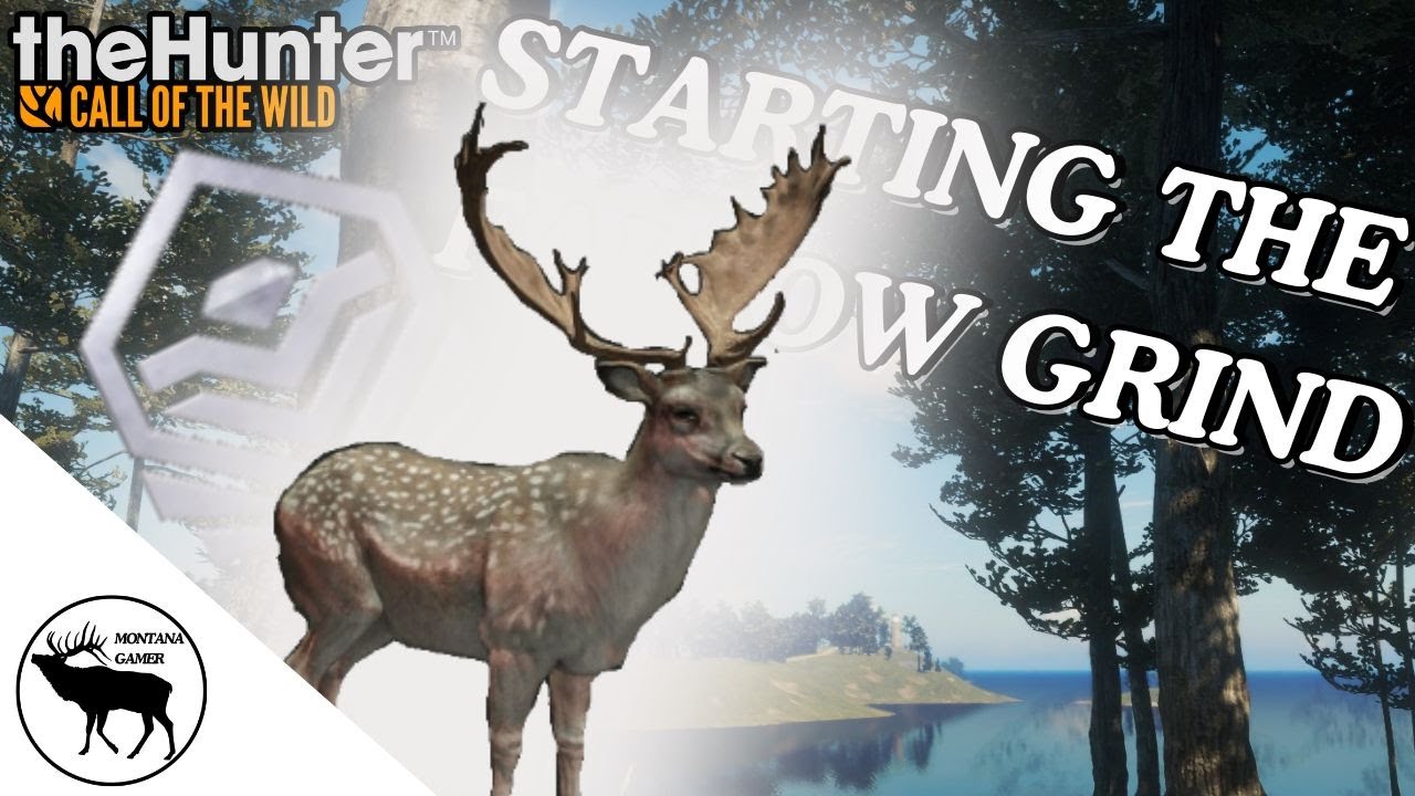 Starting The Fallow Deer Great One Grind | theHunter COTW - YouTube
