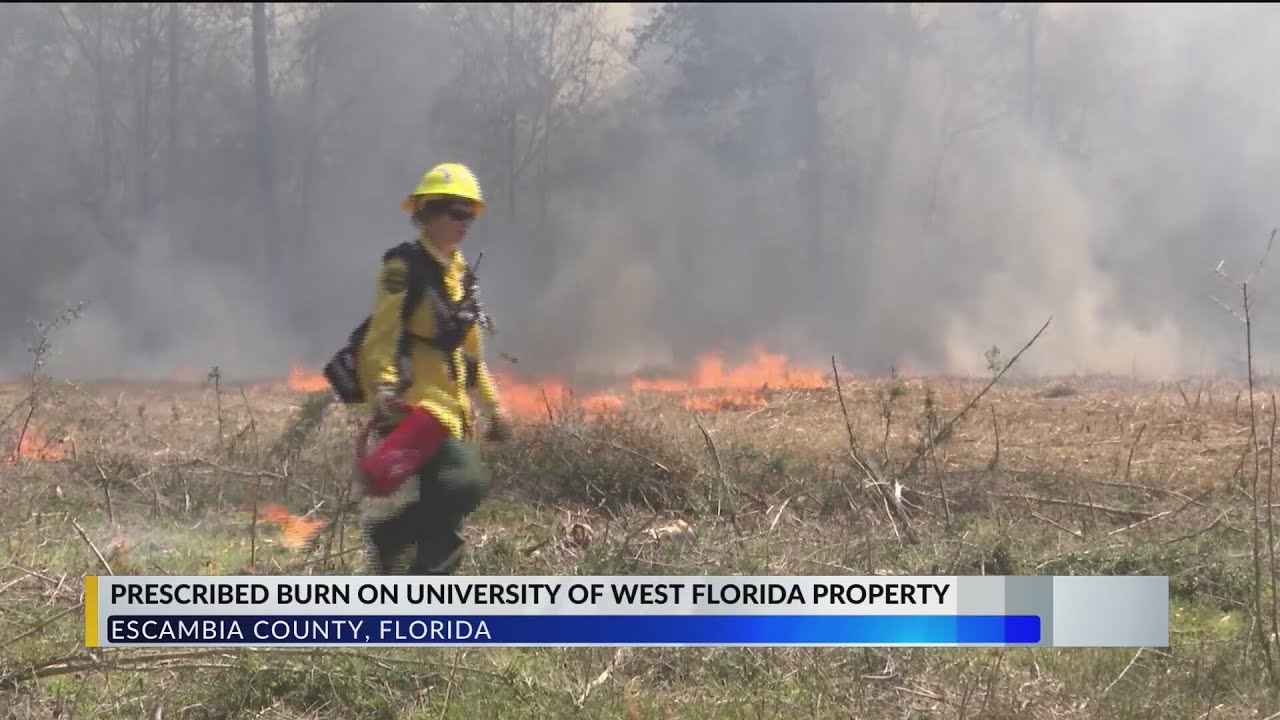 Florida Forest Service conducts prescribed burn, reducing wildfire risk ...