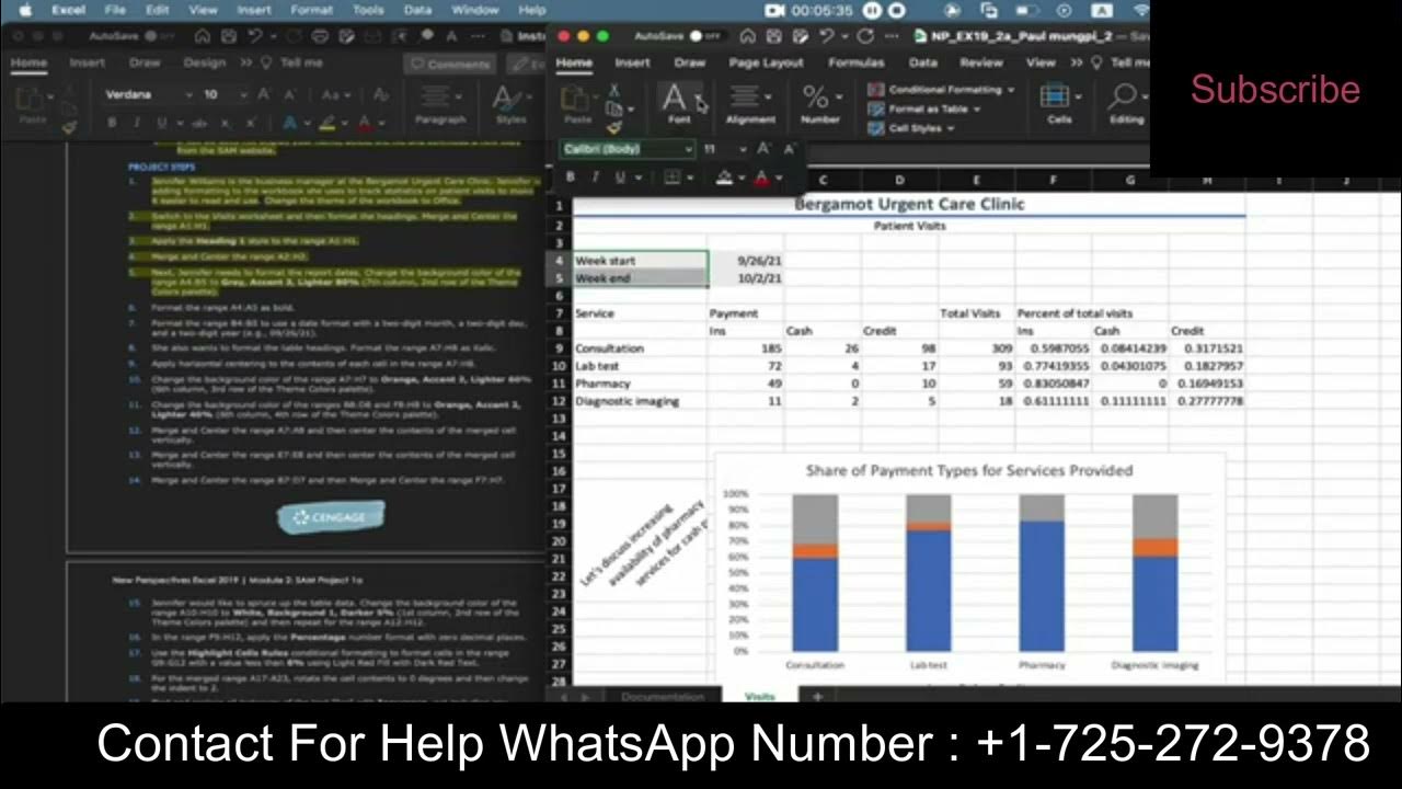 Excel Module 2 SAM Project A Bergamot Urgent Care Clinic | Excel Module ...
