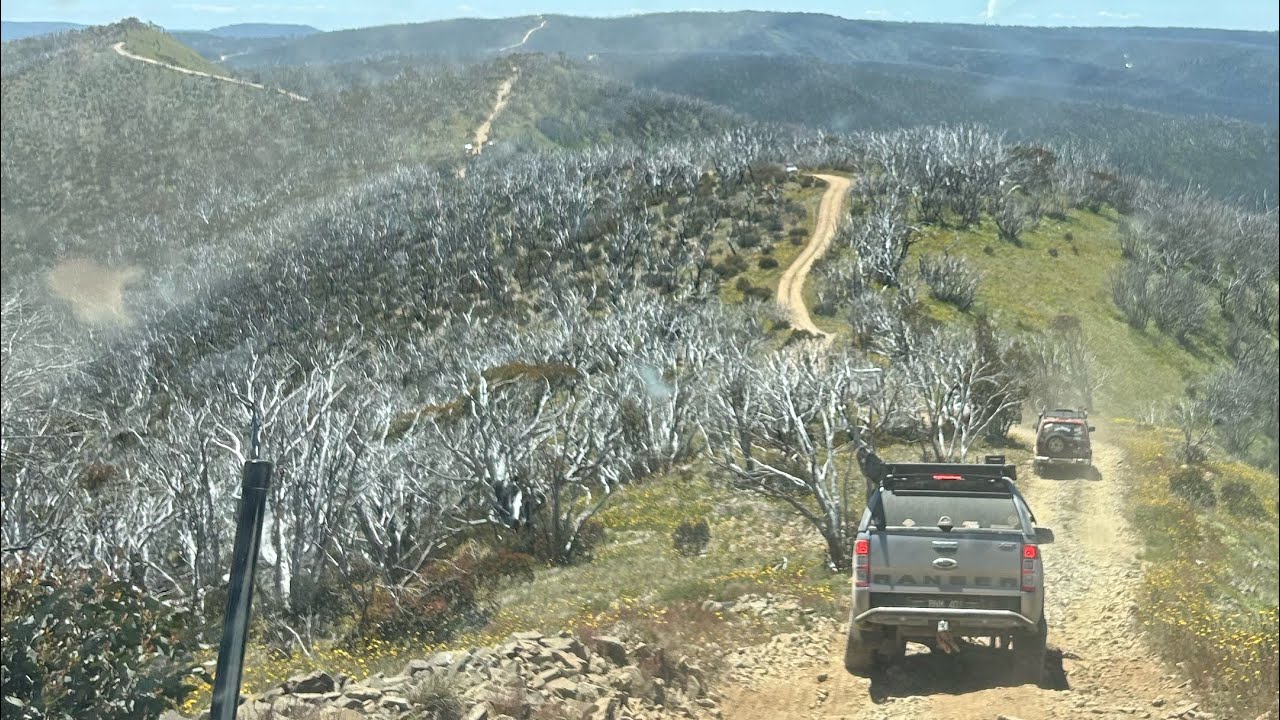 Blue Rag | Crooked River Track | Dargo | Talbotville ⁠ ⁠ - YouTube