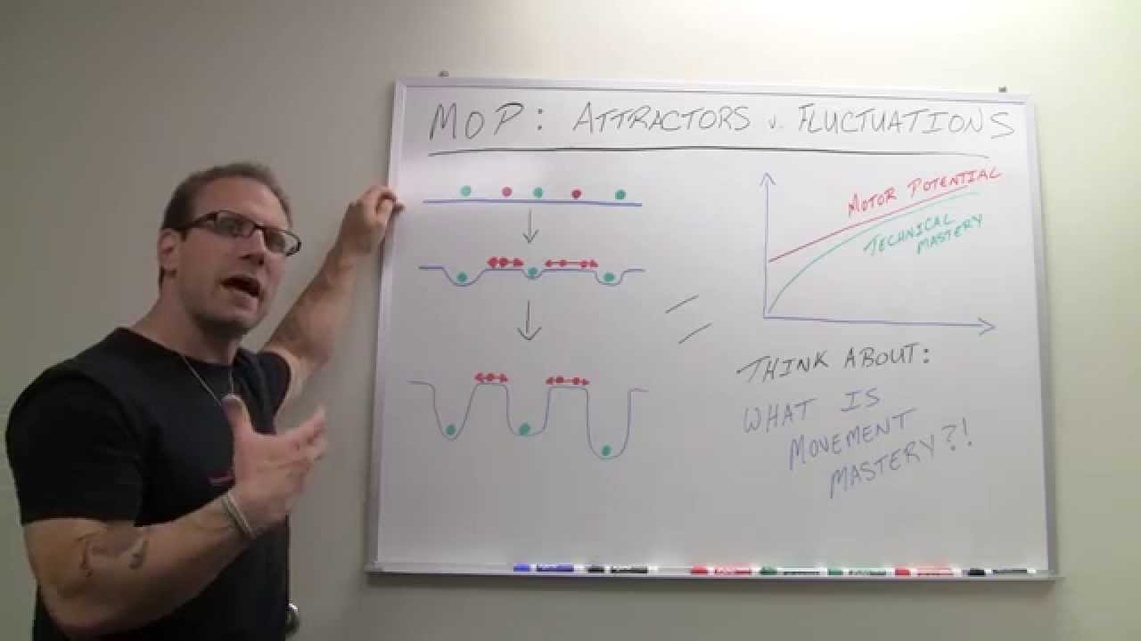 Movement Optimization: Attractors & Fluctuations - YouTube