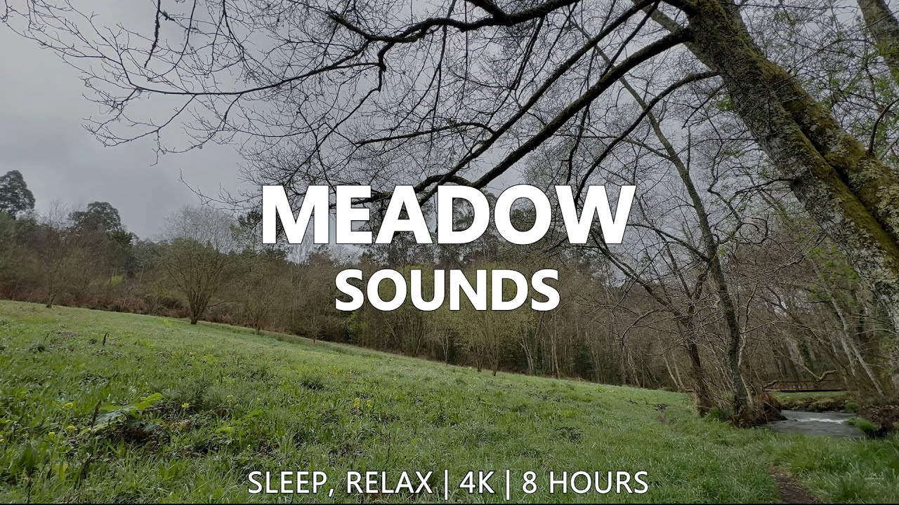 4K | 8 Hours | Peaceful Meadow View with Birds Chirping Sounds | To ...