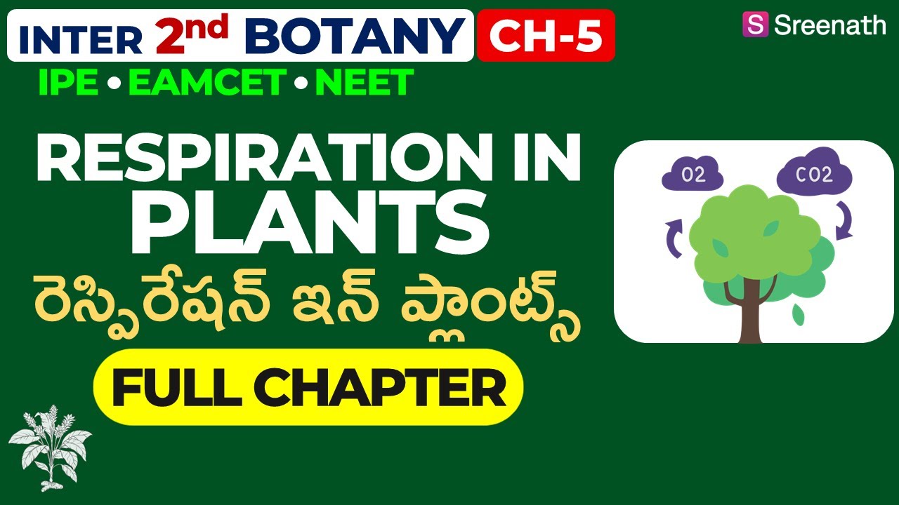 Respiration in Plants: Full Chapter in తెలుగు | TS/AP Inter 2nd Year ...