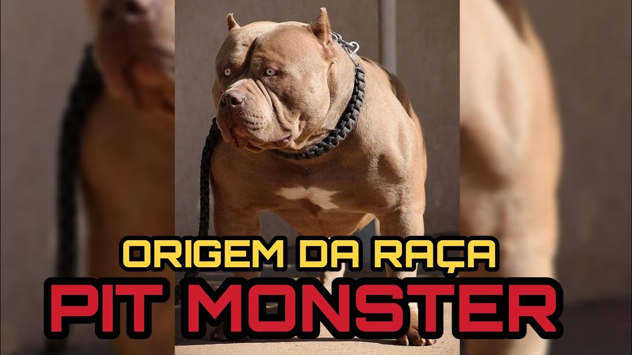 🔥QUAL A ORIGEM DO PIT MONSTER !! (resumo) - YouTube