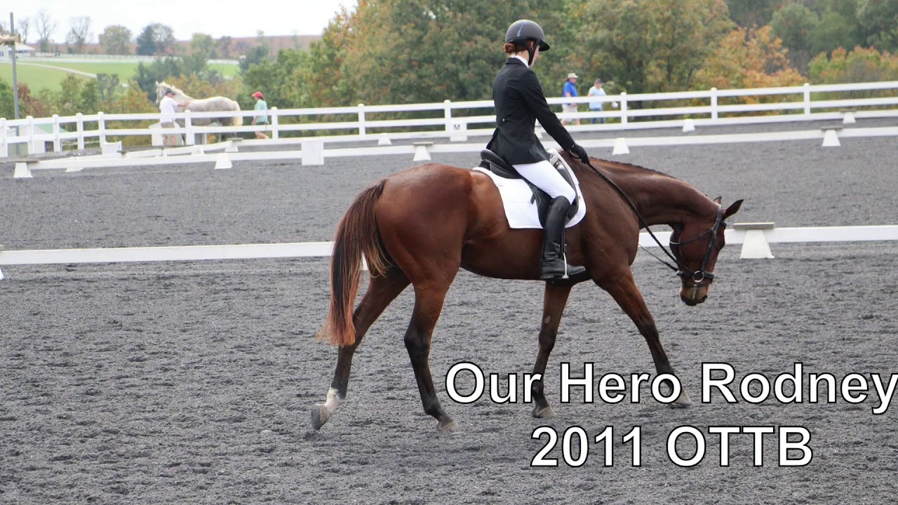 Morgan Boyer RRP Application Video - YouTube