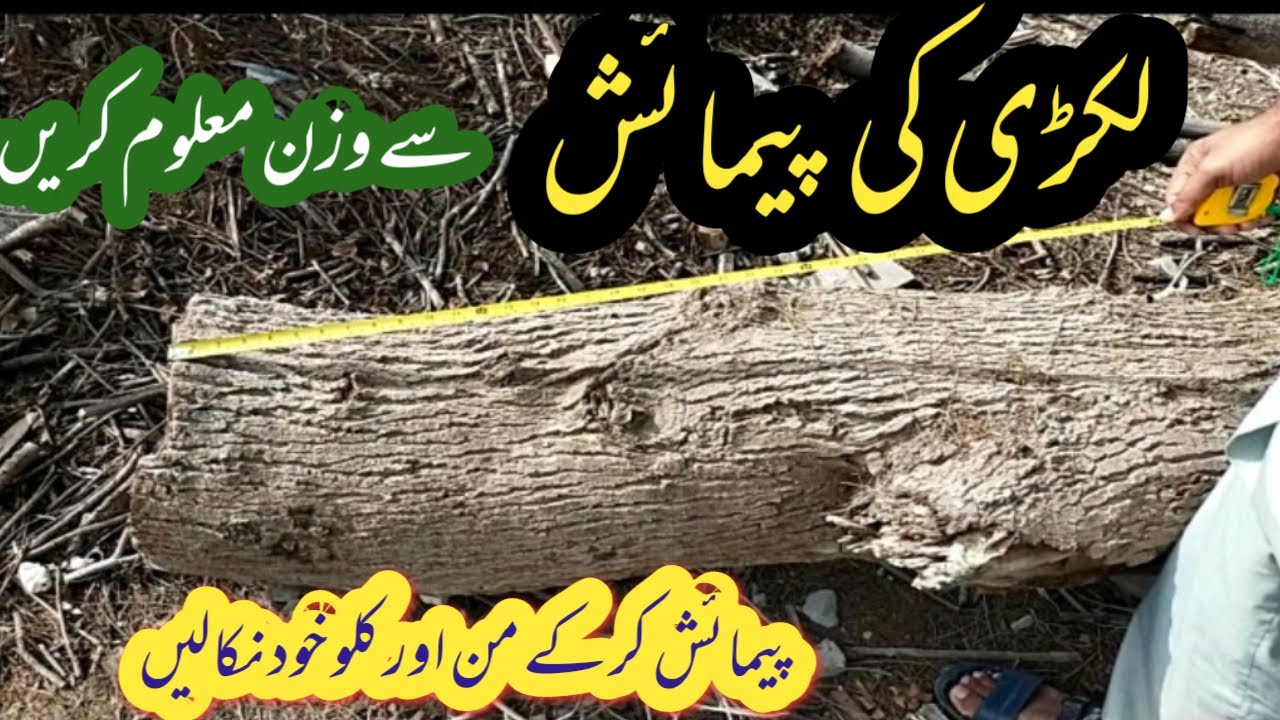 Measurement Of Wood Round Wood Measurement How To Find Weight Of measurement-of-wood-round-wood-measurement-how-to-find-weight-of