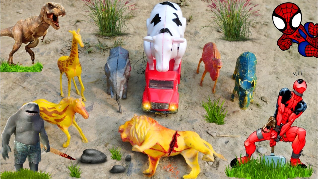 Wadidau‼️ Potong Sapi Qurbani | Sapi, Gajah, Kerbau, Domba, Kuda, Unta ...