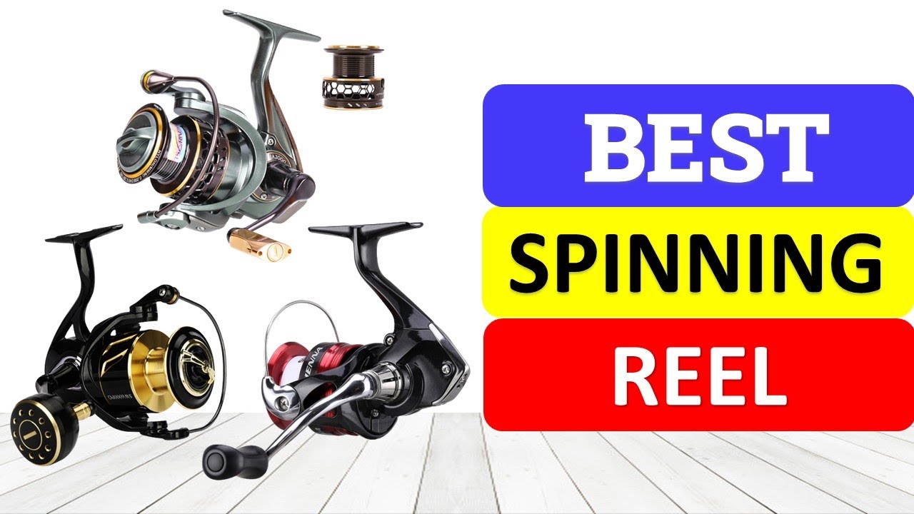 Top 10 Best Spinning Reel In 2023 | Best Fishing Reels - YouTube