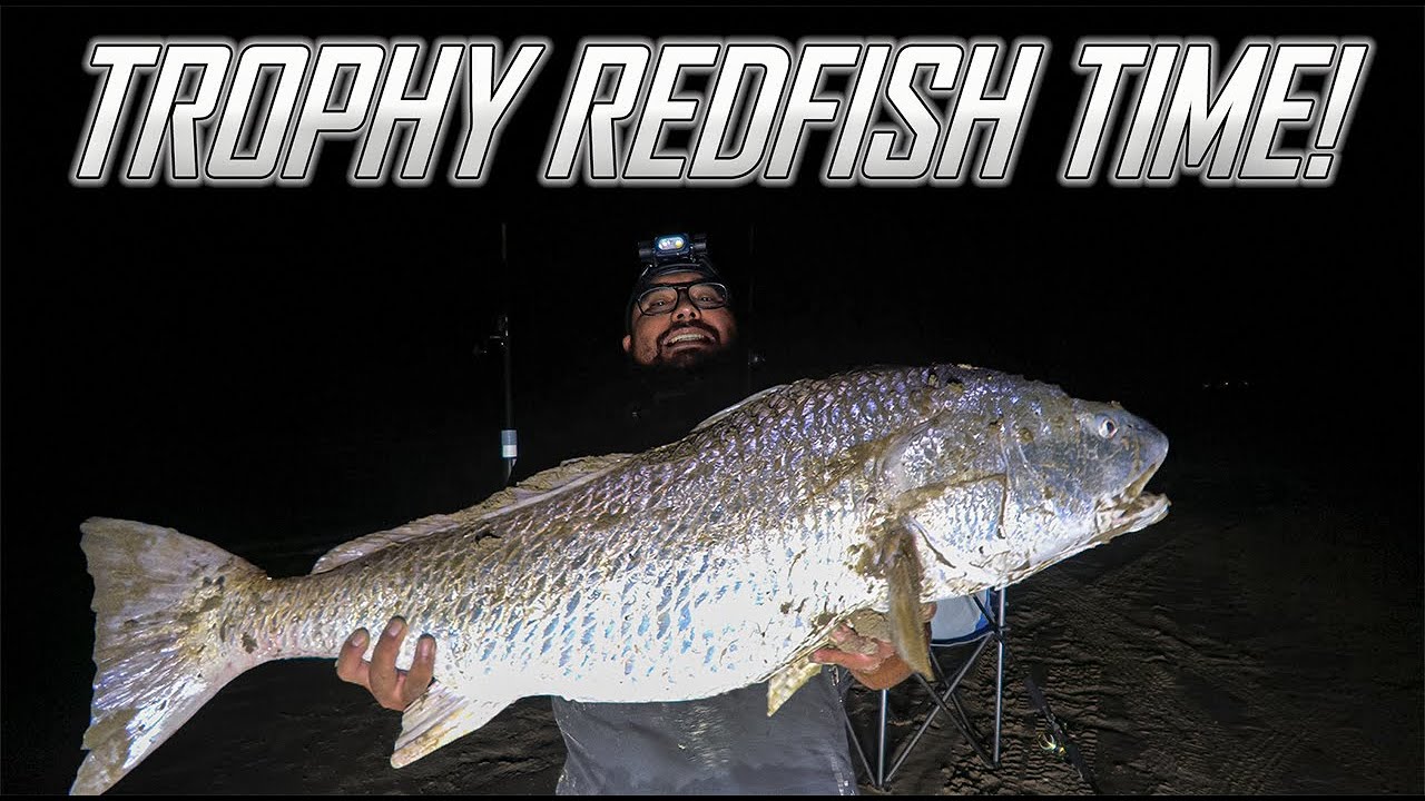 Caught The Biggest Bull Redfish Ever Filmed in Texas! (Beach Fishing ...
