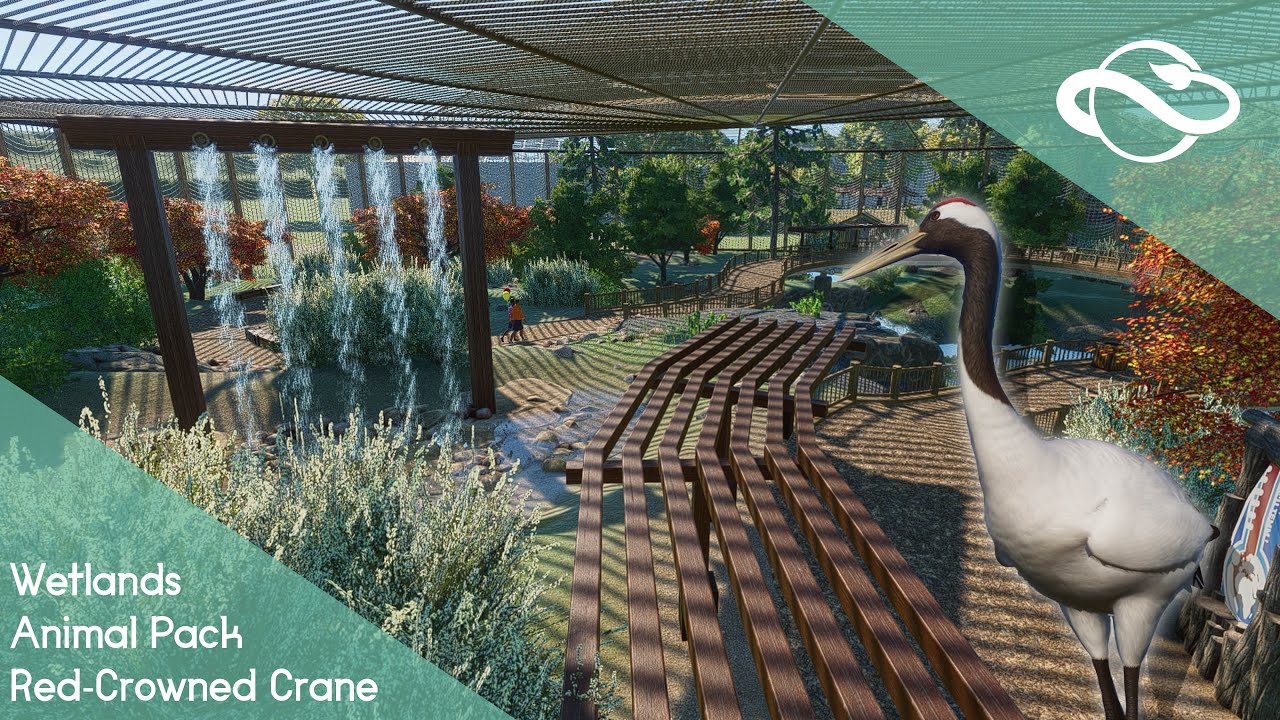 Red-Crowned Crane Aviary | Planet Zoo Wetlands Animal Pack - YouTube