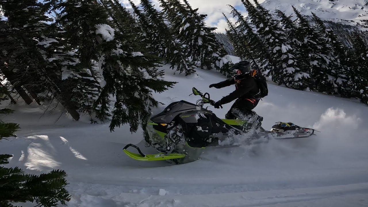 SLAMS INTO TREE - YouTube