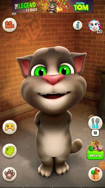 Hasbi Rabbi jallallah talking tom cat #subscribe - YouTube