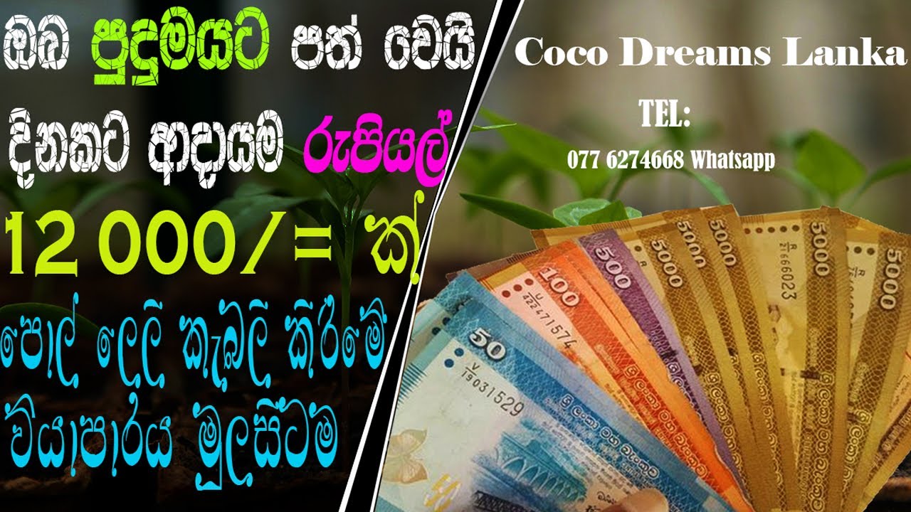 පොල් ලෙලි කැබලි කිරිමේ ව්‍යාපාරය ගැන දිර්ඝ විස්තරයක් Coconut husk chips ...