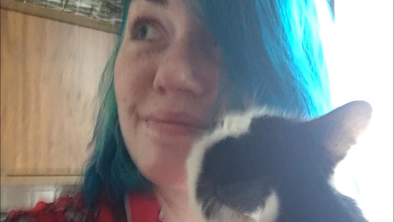 A talk on Sheetz and baby kitties! - YouTube