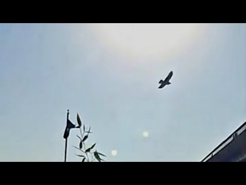 Learning 2Decode Imediate Environment IRT, IRL 2Understand 1self ...