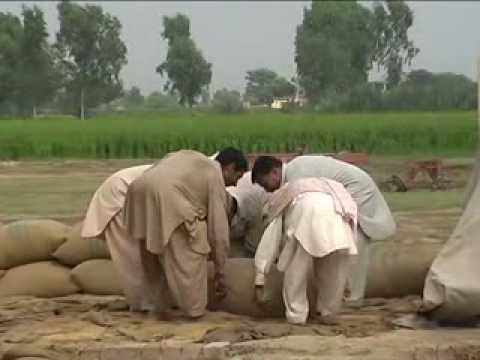 Khan Rice Mills (www.krmill.com) - YouTube