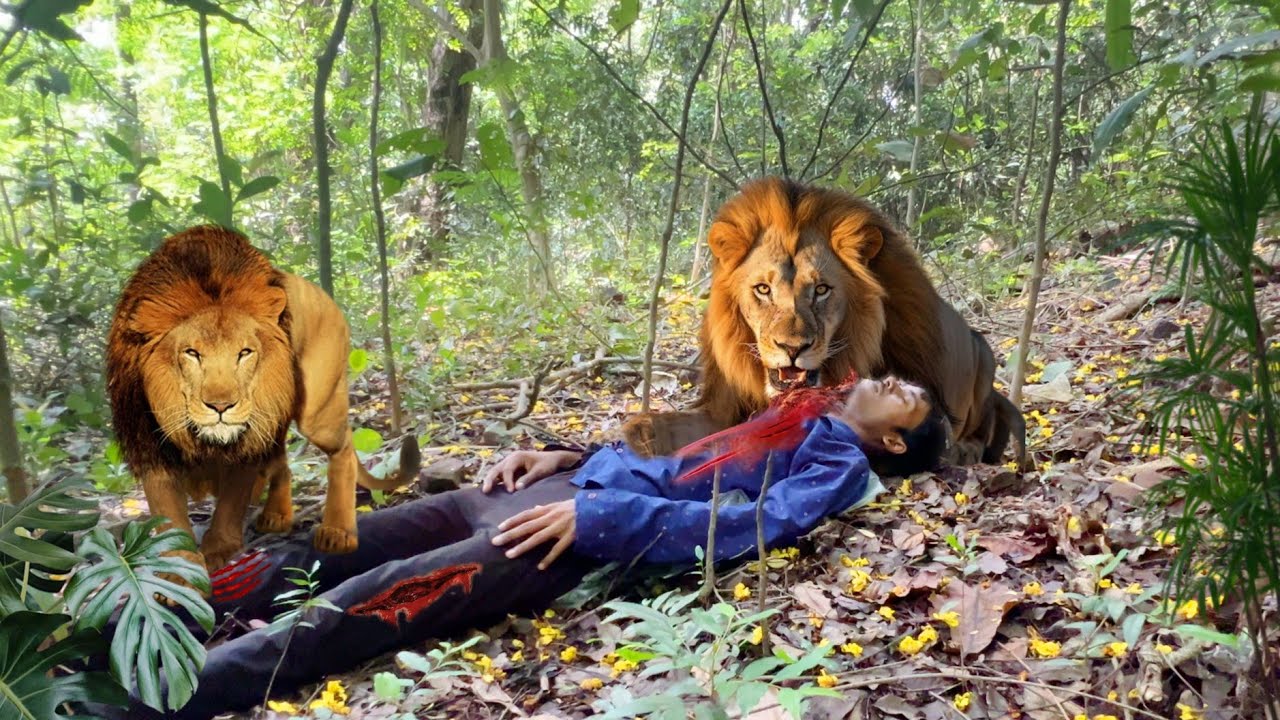 Lion Attack Man in Forest | Lion Attack Hunter | Lion Attack Stories ...