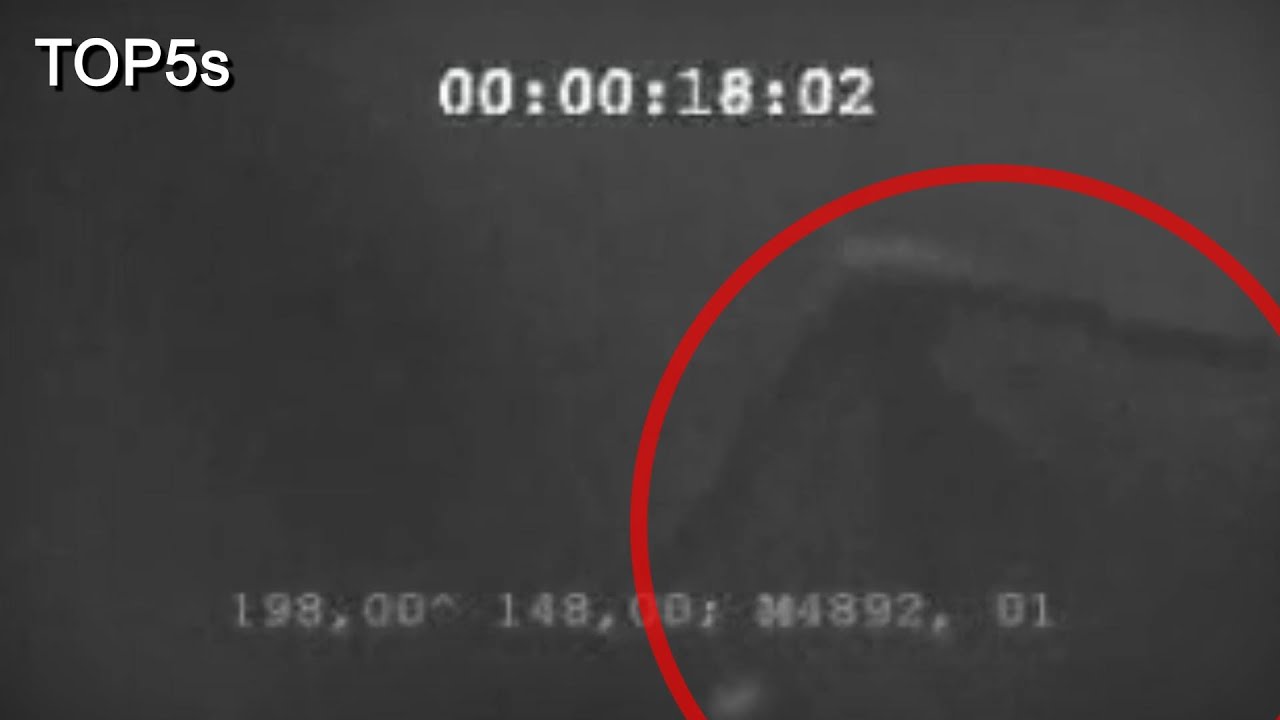 5 Most Mysterious & Unidentified Creatures Caught On Camera - YouTube