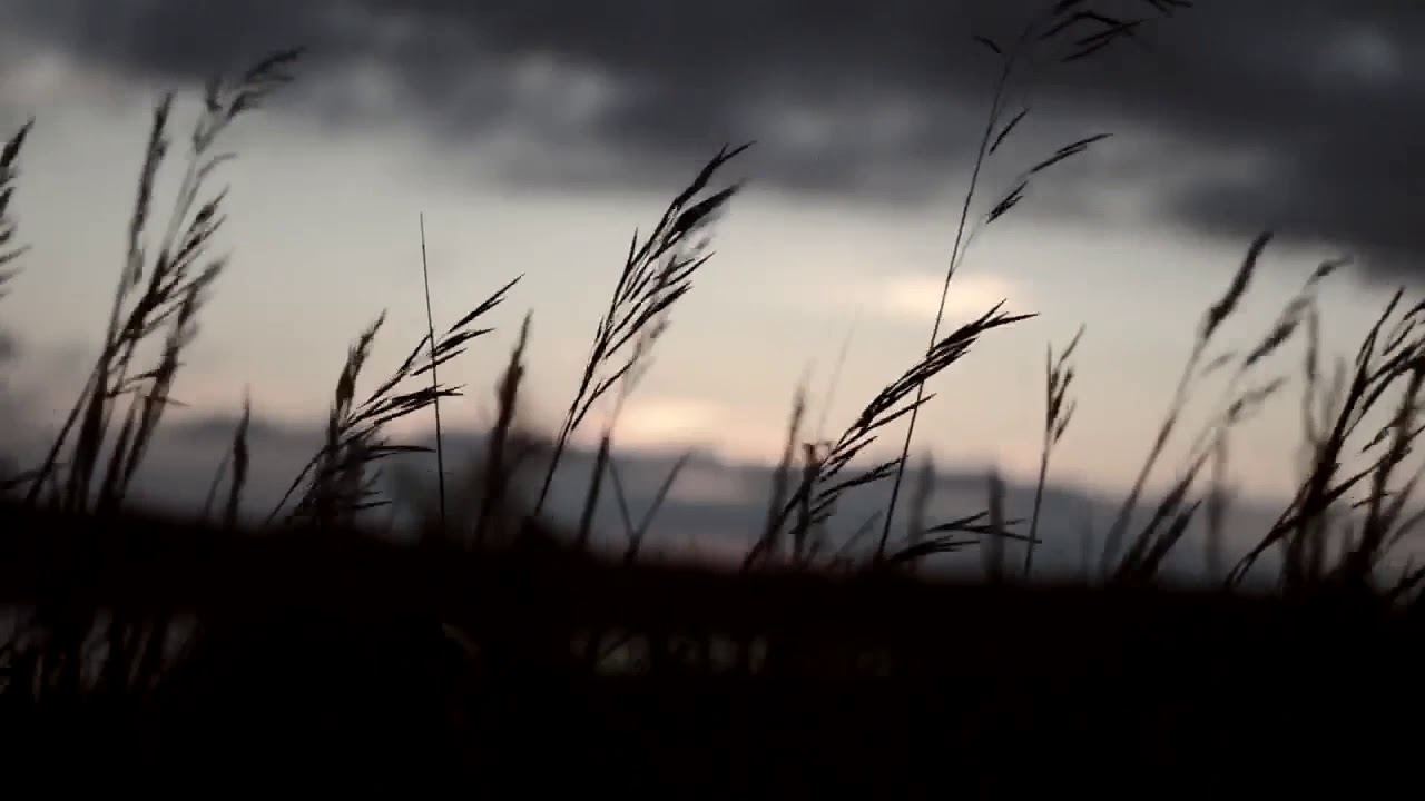 Wind howling 💨 and peaceful music |60min peacefulvideo| - YouTube