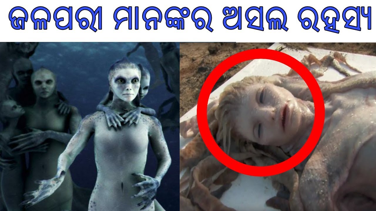 ବୈଜ୍ଞାନିକ ମାନେ ଜାଣି ପାରୁ ନାହାନ୍ତି, ଏମାନଙ୍କ ରହସ୍ୟ || Scientific Mermaid ...
