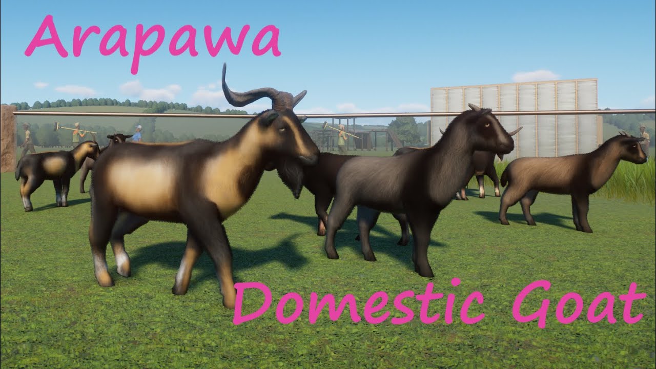 Arapawa - Domestic Goat by Leaf - Planet Zoo Mod - YouTube