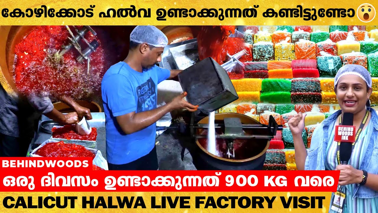 കോഴിക്കോടൻ Halwa ഉണ്ടാക്കുന്നത് എങ്ങനെ ? | ഒരു ദിവസം ഉണ്ടാക്കുന്നത് ...