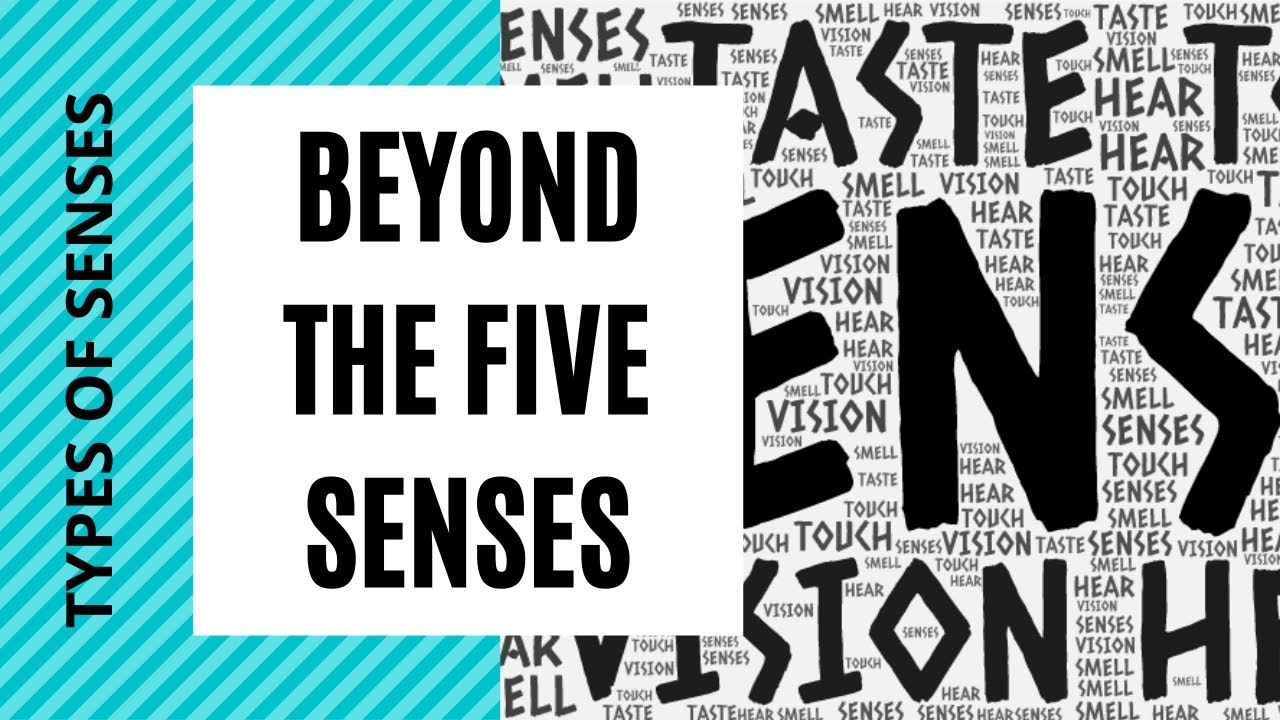 Types Of Human Sense Are There More Types Of Senses Other Than The types-of-human-sense-are-there-more-types-of-senses-other-than-the