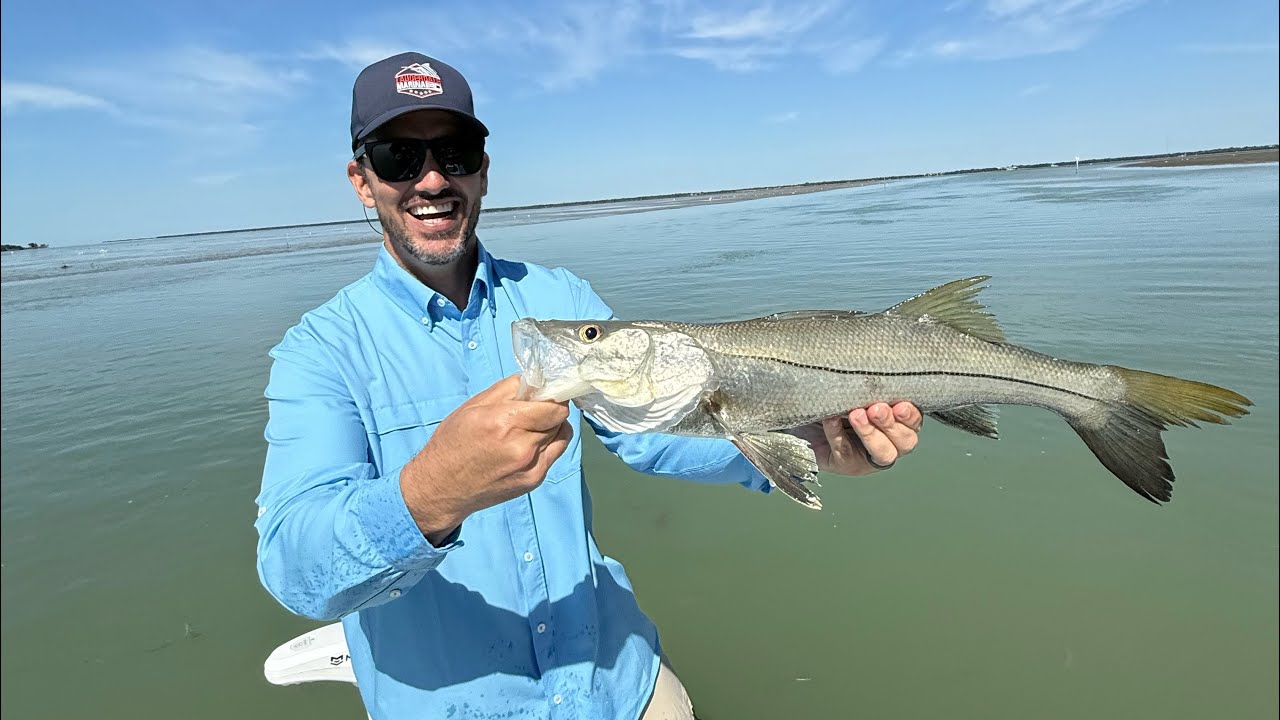 Snook in the Branches: A Wild Day in Flamingo with Shawn & Brandon ...
