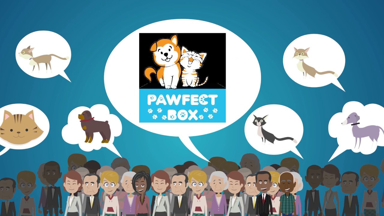 Pawfect Box - YouTube