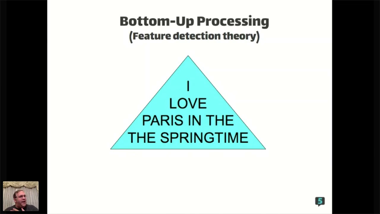AP Psychology - Sensation & Perception | Fiveable Cram Archive