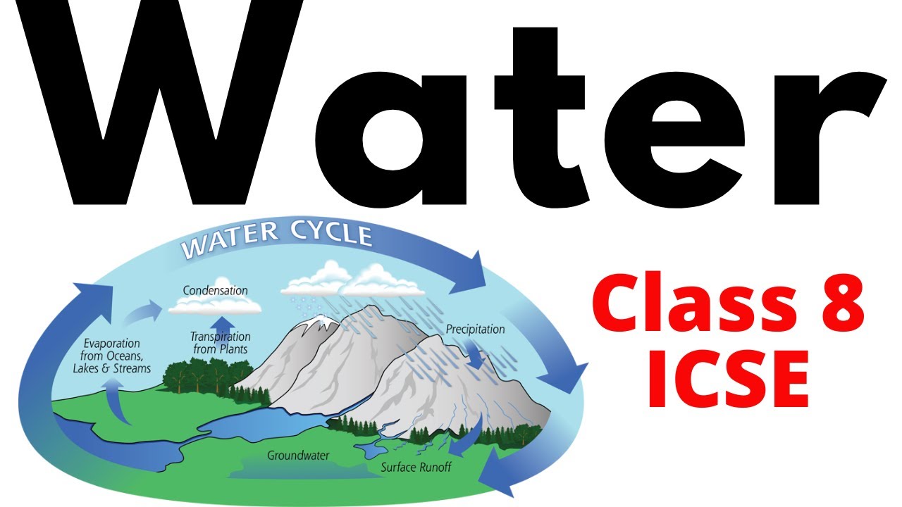 WATER CLASS 8 ICSE | WATER CYCLE, PROPERTIES OF WATER - YouTube