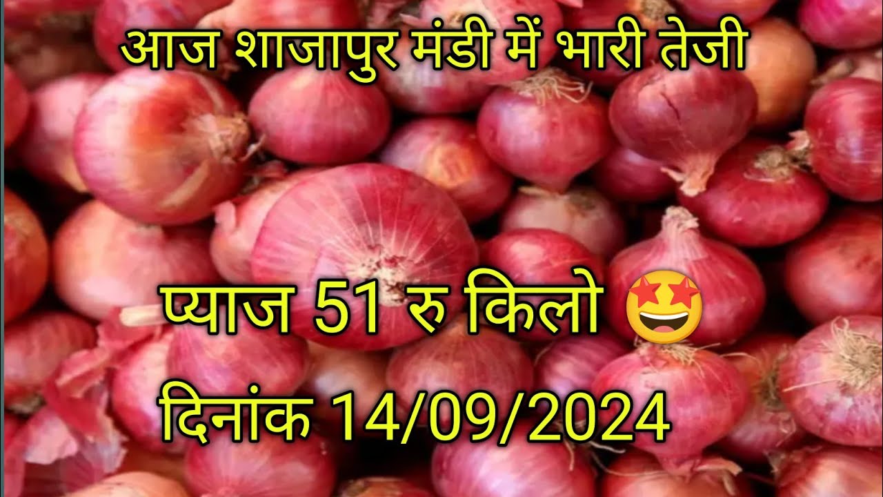 शाजापुर मंडी में आज प्याज ₹50 किलो ||शाजापुर मंडी भाव ||shajapur mandi ...