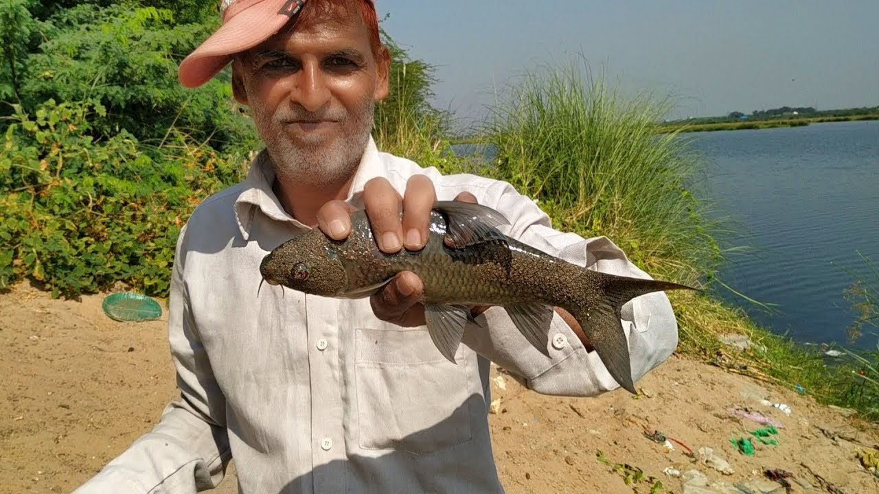 Found A Big Fish In My City Kurnool | Vlogs World - YouTube