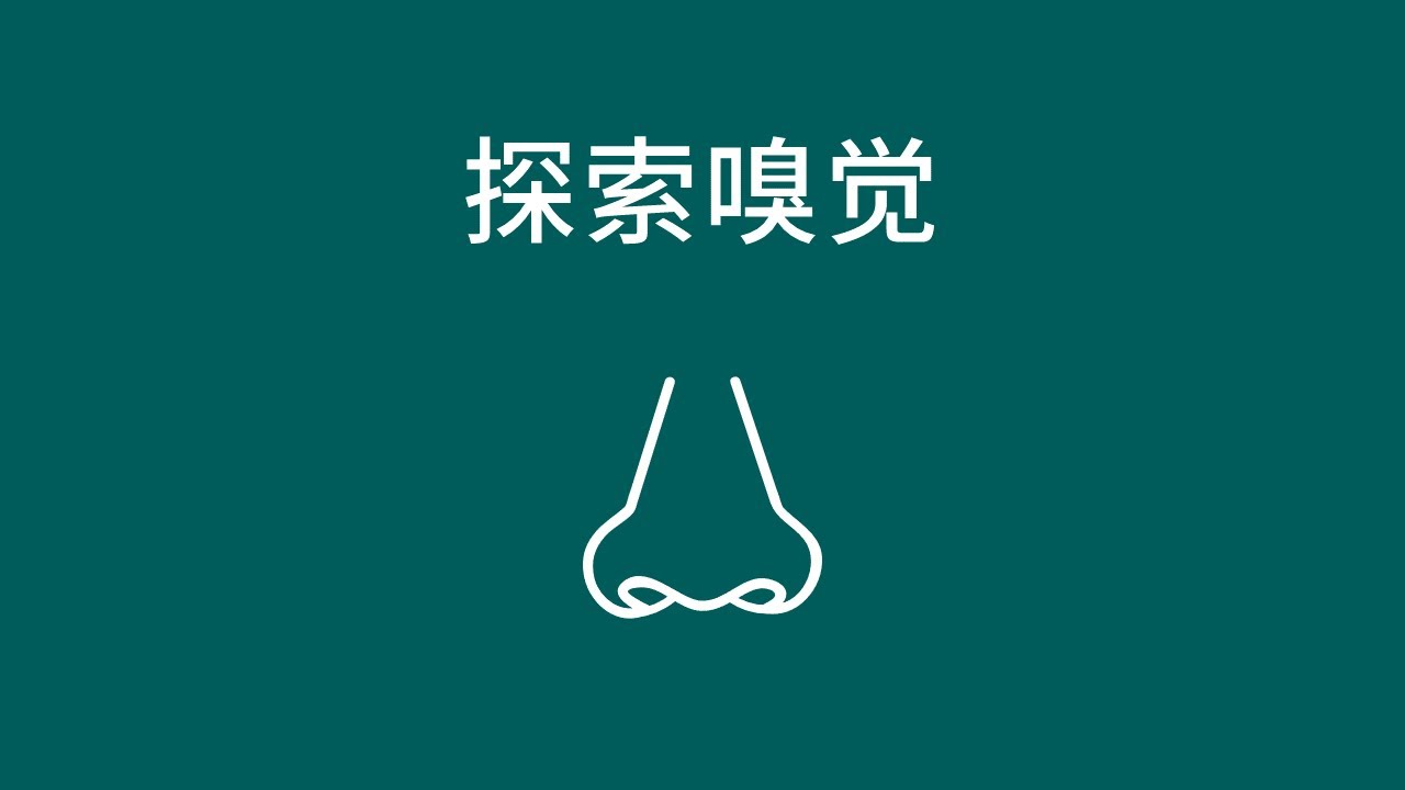 探索嗅觉 - Exploring Smells (Chinese) - YouTube