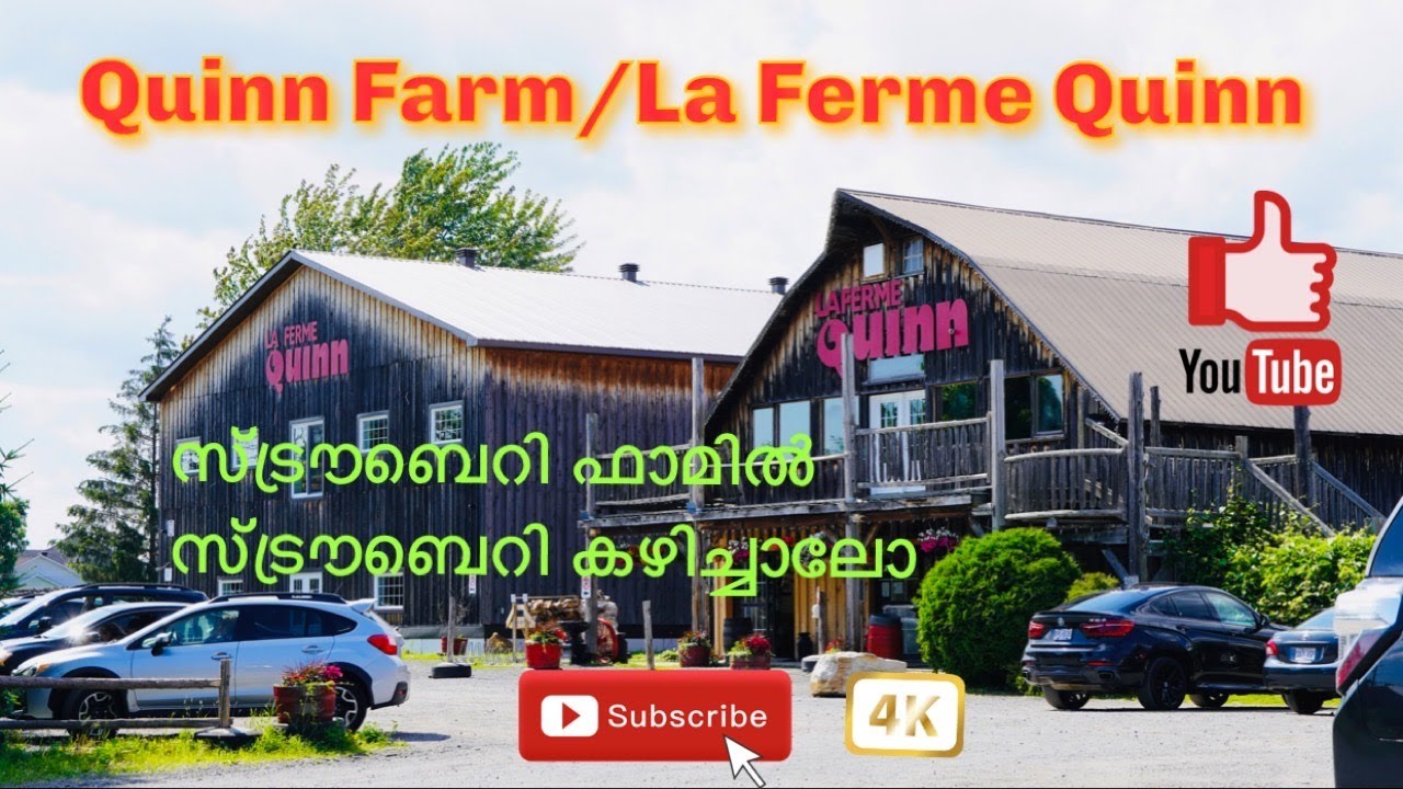 La Ferme Quinn / Quinn Farm / സ്ട്രൗബെറി ഫാം - YouTube
