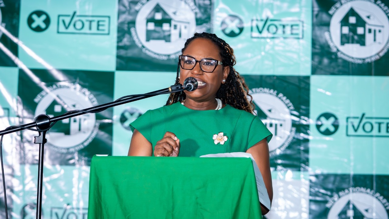 WATCH: Noleen Thompson’s Full Speech at NNP Connect - St David - YouTube