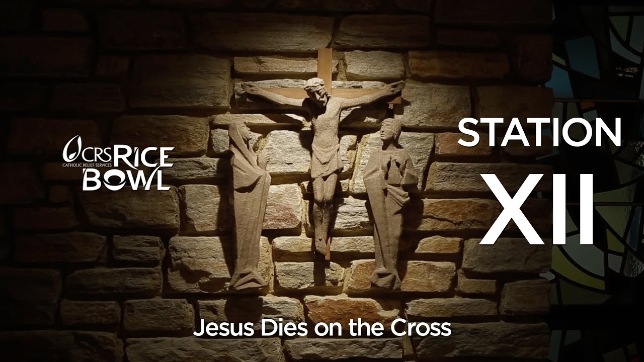 Station XII: Jesus Dies on the Cross | CRS Rice Bowl - YouTube