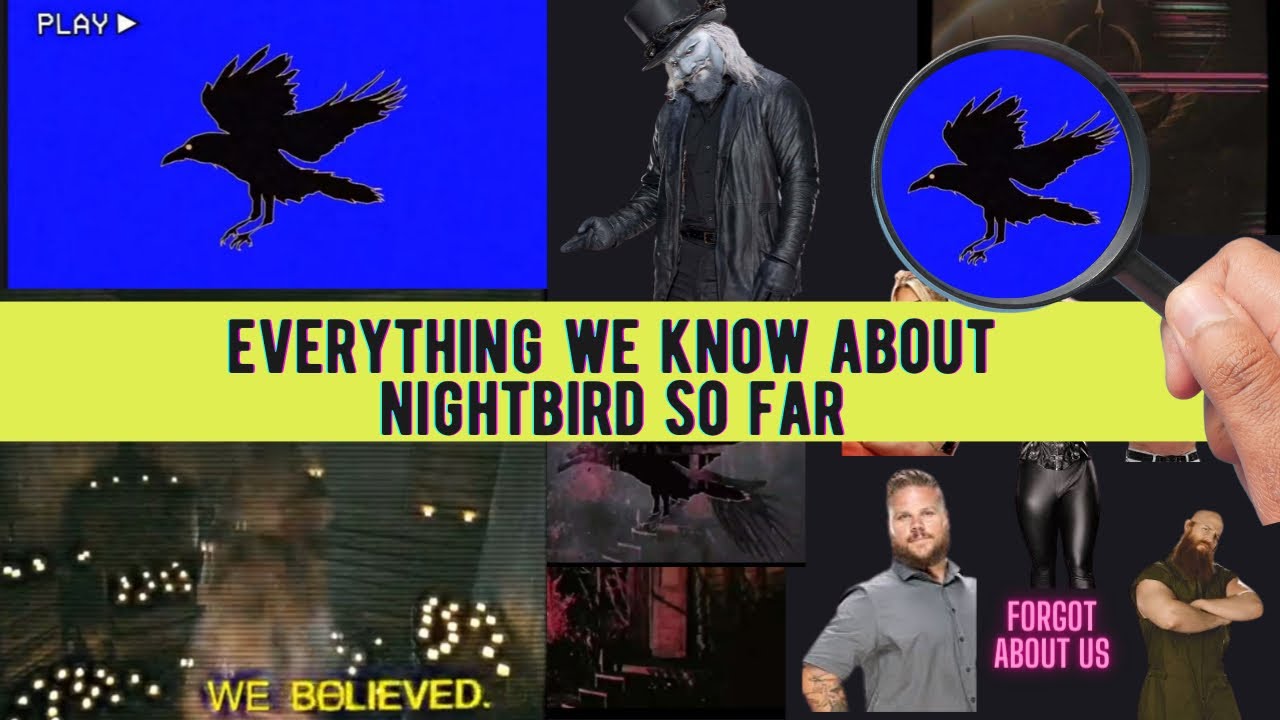 EVERYTHING WE KNOW ABOUT NIGHTBIRD SO FAR - YouTube