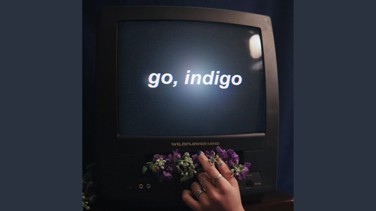 Go, Indigo - YouTube