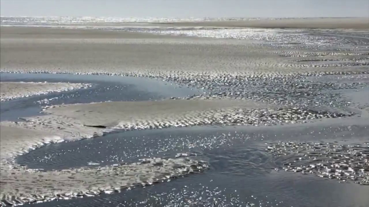 Dewees Island Vacation - YouTube