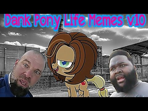 Dank Pony Life Memes v10 - YouTube