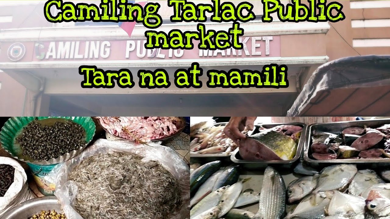CAMILING TARLAC PUBLIC MARKET/ Tayo na mamalengke.. - YouTube