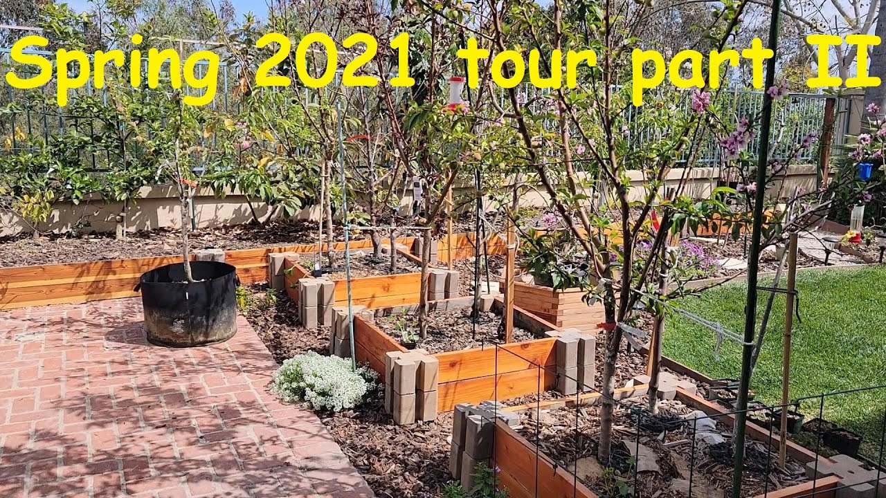 Spring 2021 backyard orchard tour part II - YouTube