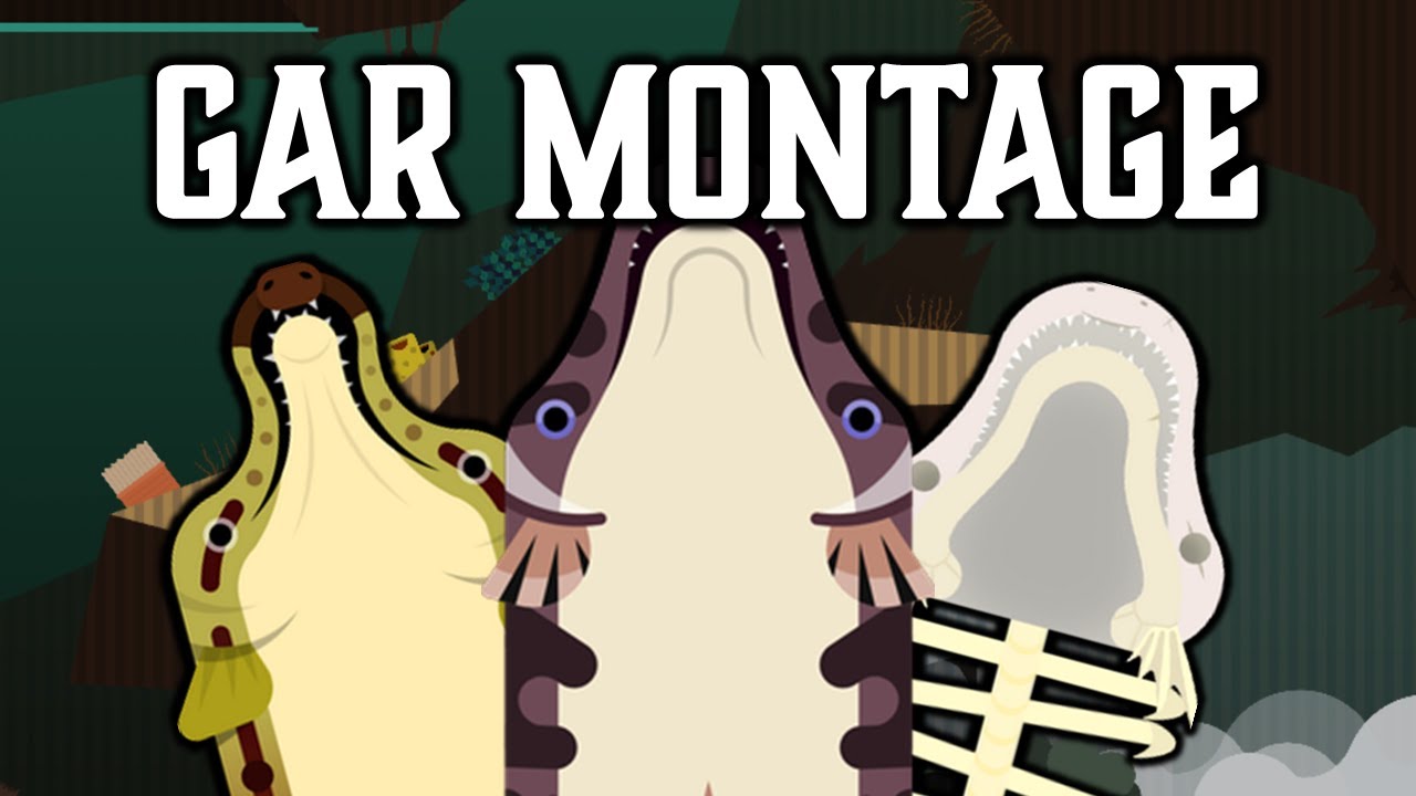 Alligator Gar Kill Montage | Deeeep.io - YouTube