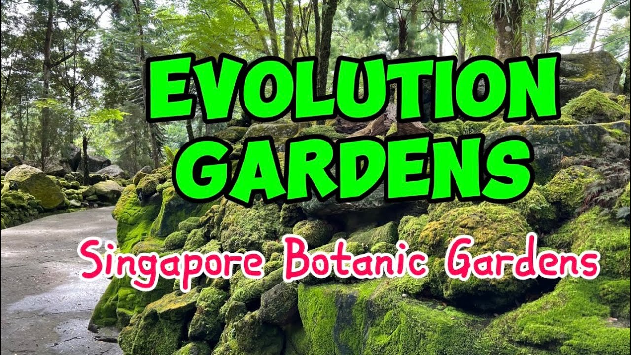 Evolution Garden ||Singapore Botanic Garden ||Singapore - YouTube