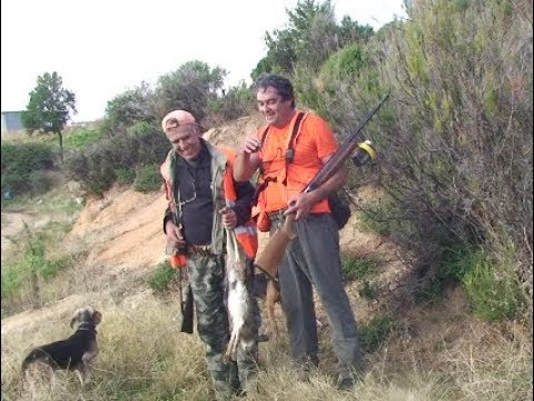 ΚΥΝΗΓΙ ΛΑΓΟΥ ...σσσστ!!!! - YouTube