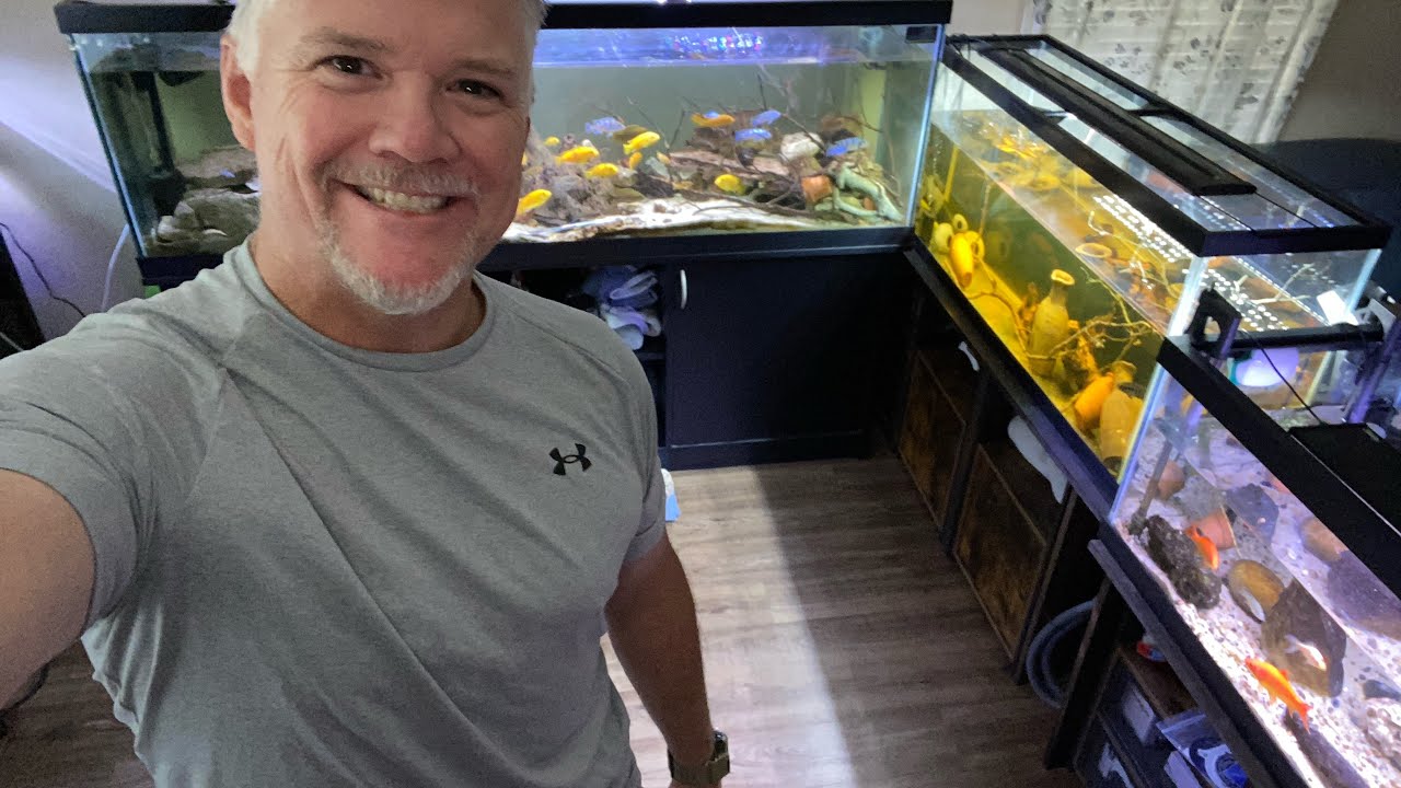 Tiny Aquatics aquarium store visit with @vibesaquatics after Austin ...