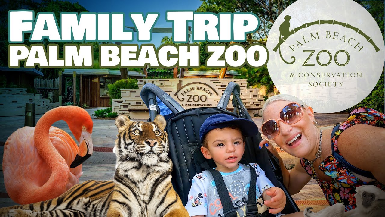 Palm Beach Zoo 2023 | West Palm Beach, Florida | Full Tour - YouTube